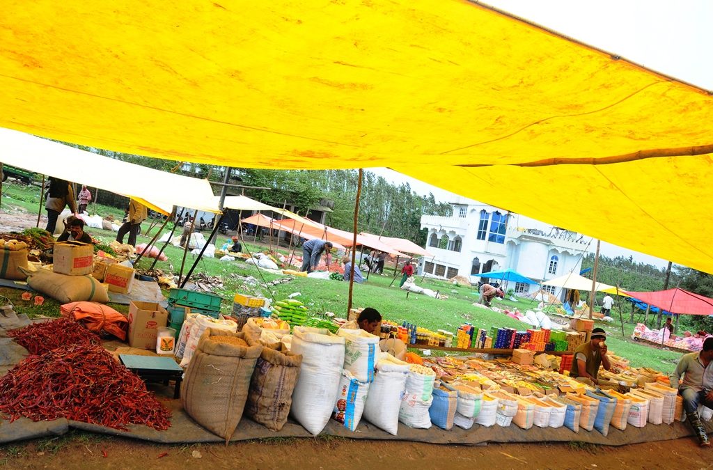 Indian Cherry Robusta | Burman Coffee