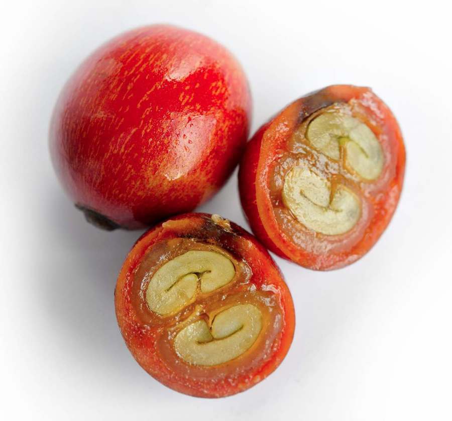 Myanmar (Burma) Shan State Ywangan | Burman Coffee