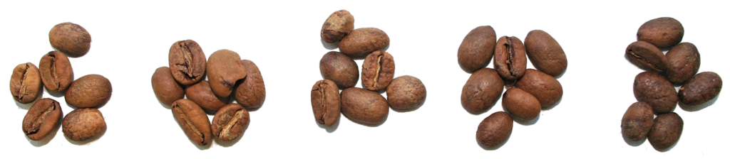 How to Roast Coffee Beans: The Ultimate Guide to Home Roasting Coffee
