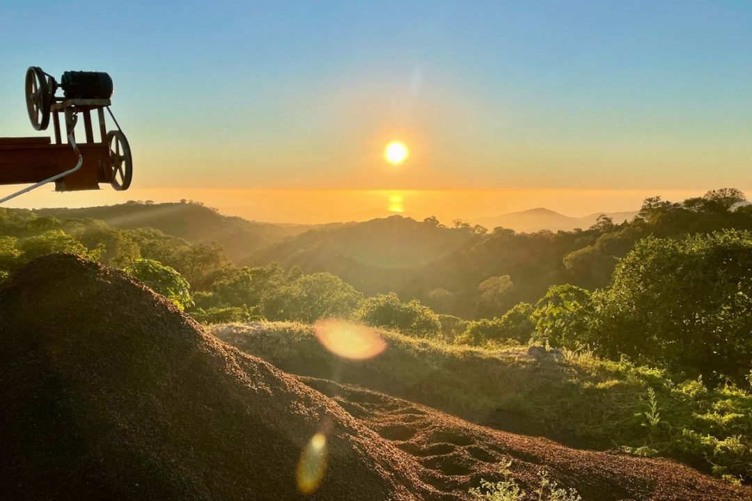 Mexican Terruño Nayarita - Cofradia de Chocolon - Washed Processed ...