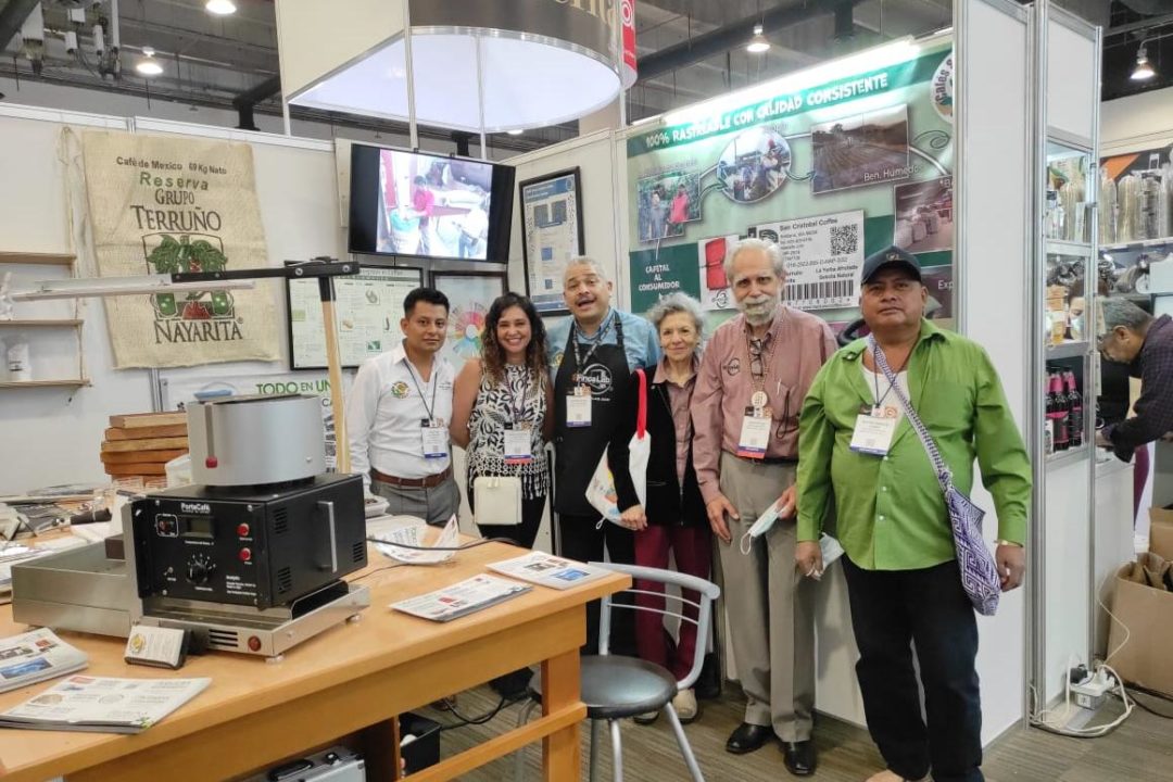 Mexican Terruño Nayarita - Cofradia de Chocolon - Washed Processed ...