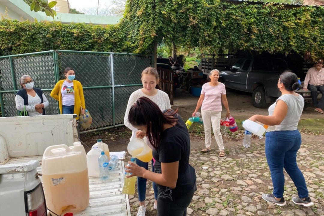 Mexican Terruño Nayarita - Cofradia de Chocolon - Washed Processed ...