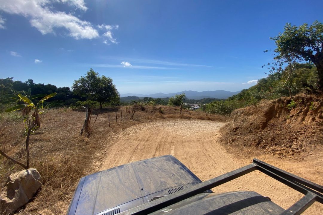 Mexican Terruño Nayarita - Cofradia de Chocolon - Washed Processed ...