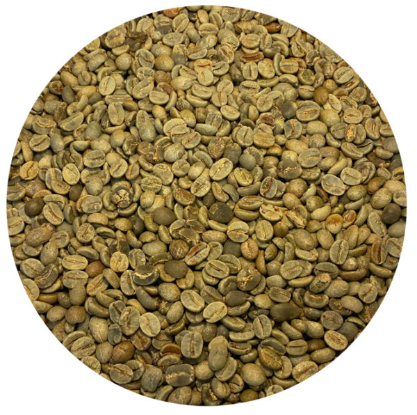 Green Coffee, Unroasted Coffee Beans | Burman Coffee Traders