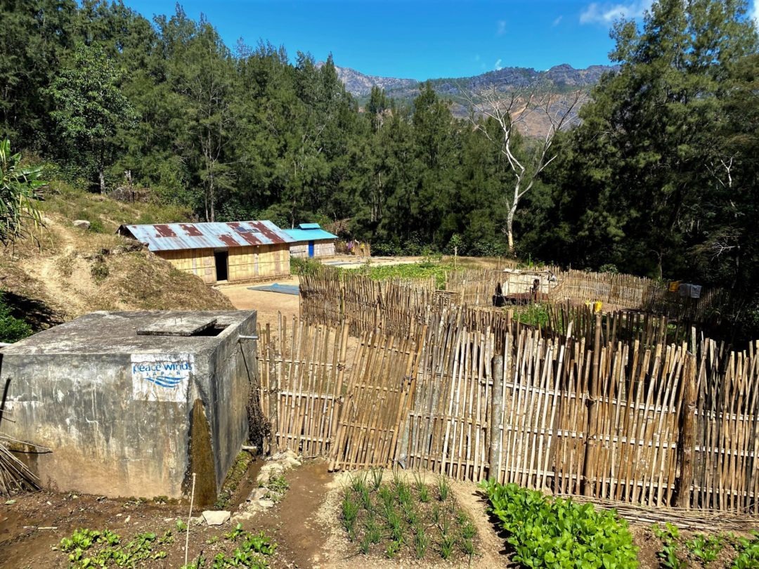 Timor-Leste Letefoho - Natural Processed | Burman Coffee