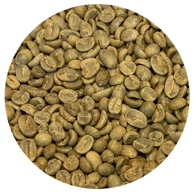 Guatemalan Antigua - Finca Medina - Washed Processed | Burman Coffee