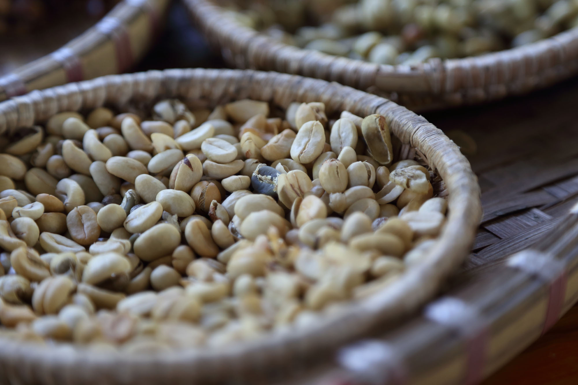 Green Coffee, Unroasted Coffee Beans | Burman Coffee Traders