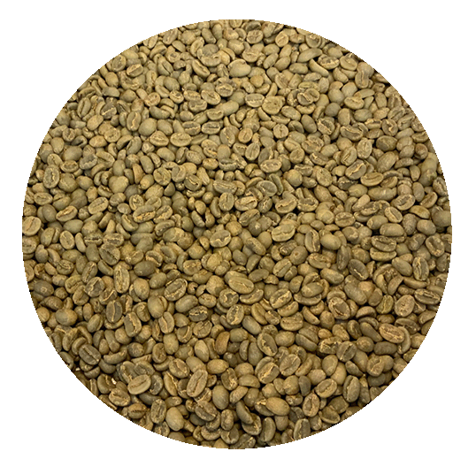Ethiopian Yirgacheffe Washed - Adame Kebele - Gr. 0 | Burman Coffee