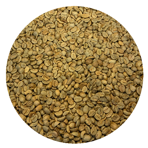 Kenya Narok - Mara Estate - Batian Natural Processed | Burman Coffee