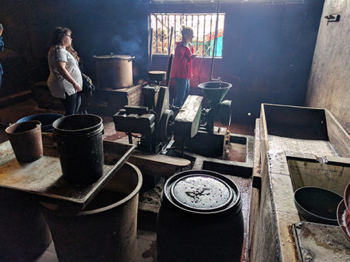 Nicaraguan RFA Selva Negra - Washed Processed | Burman Coffee