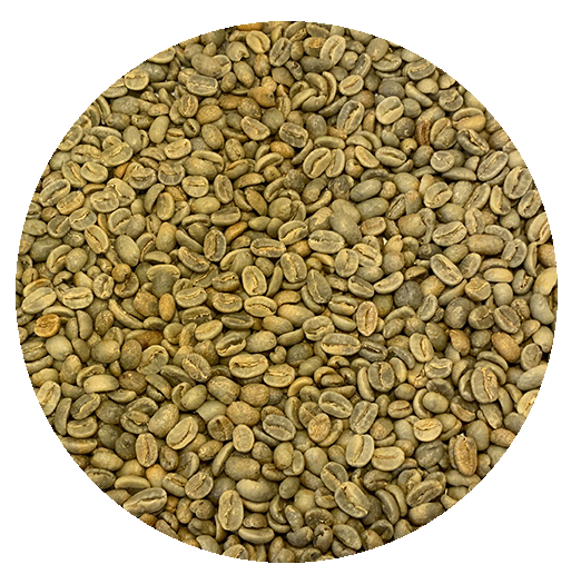 Colombian Huila Java Strain Double Fermentation | Burman Coffee
