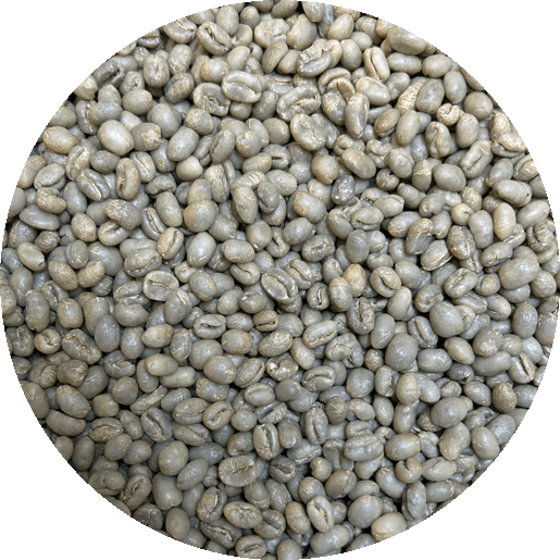 Costa Rican SHB EP Dota Tarrazu – Santa Maria – Washed Peaberry ...