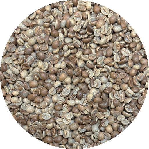 Thailand Lanna Coffee - Baan Ku Klong - Honey Processed | Burman Coffee