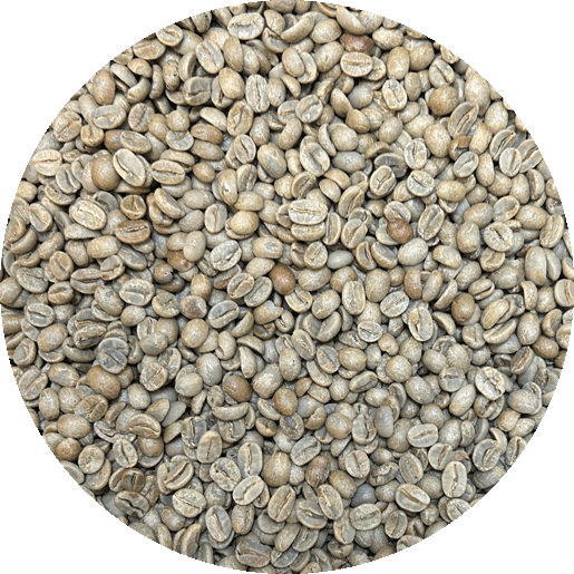 Thailand Lanna Coffee - Law Wu - Natural Processed | Burman Coffee