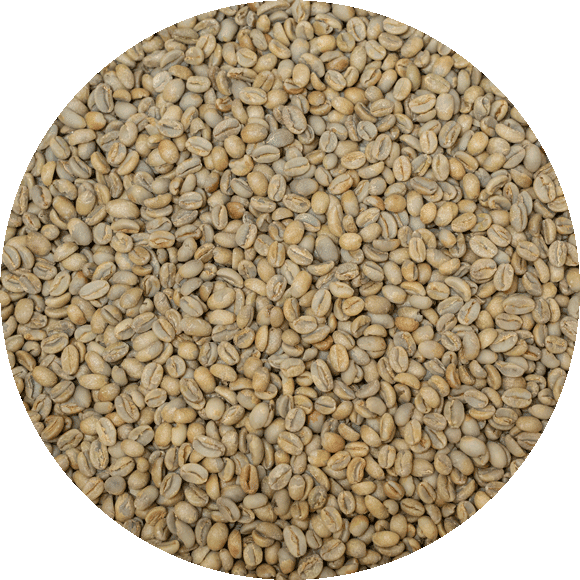 Ethiopian Guji Org Kayon Mountain | Burman Coffee