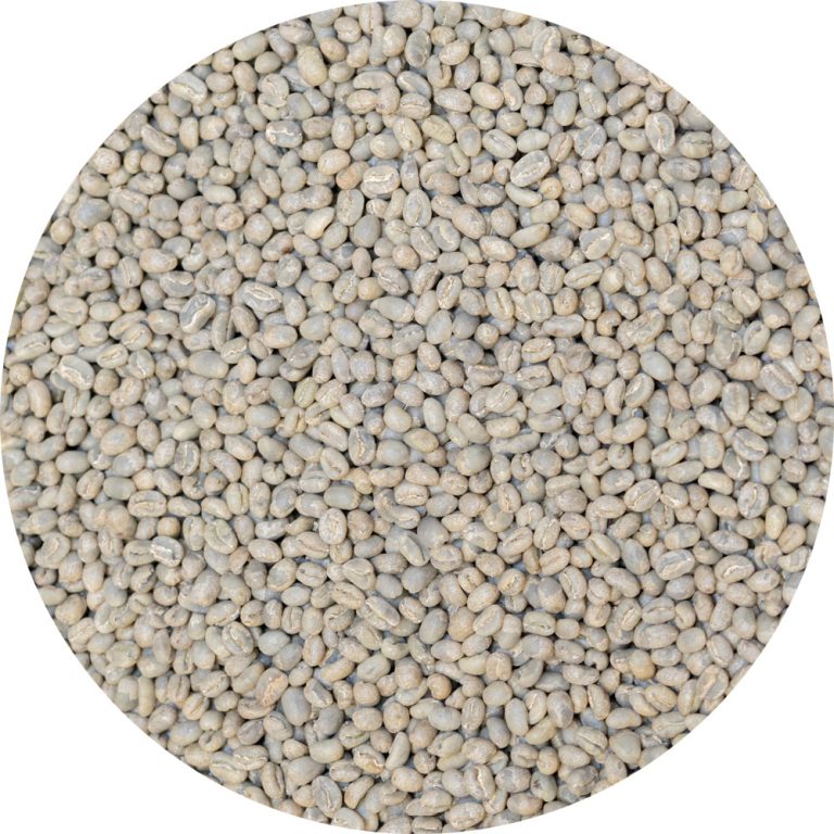 Kenya Premium Machakos - Kaliluni FCS - Peaberry | Burman Coffee